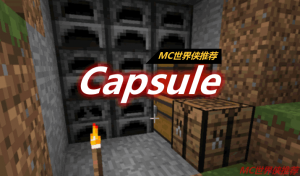 Capsule Mod | 我的世界 | MC世界侠